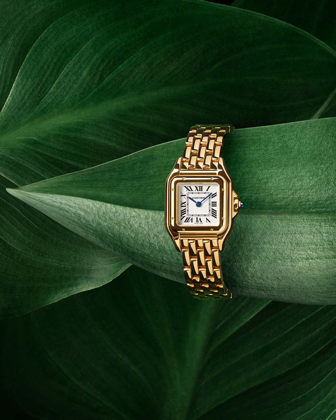 Cartier watch store